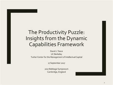 The Productivity Puzzle Insights From The Dynamic Capabilities Framework Ppt Free Download