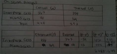 Mitosis Lab Root Tip Akosa S AP Biology Lab Site