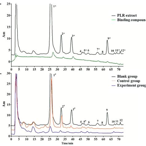 HPLC Analysis A HPLC Chromatogram Of Puerariae Lobatae Radix Extract Download Scientific