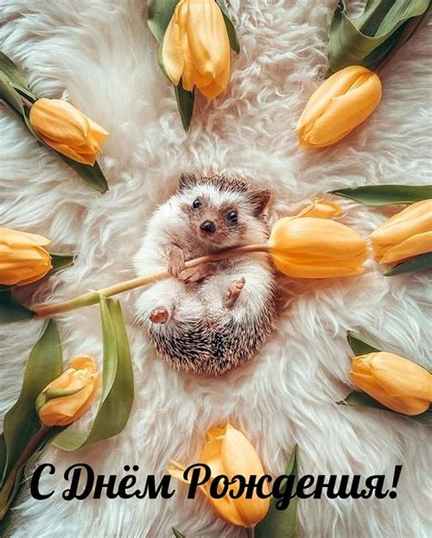 Открытки с Днем рождения с Юмором