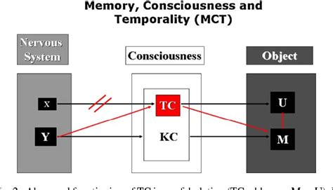 Figure 2 From Model Of The Hippocampo Cortical Connectivity In Temporal Consciousness” In