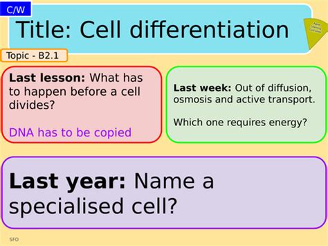 Cell Differentiation Gcse Teaching Resources