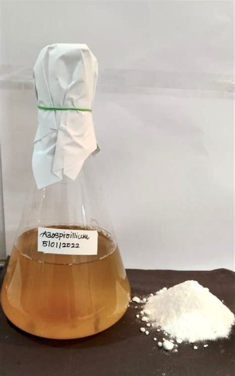 Azospirillum Biofertilizer Azospirillum Culture Latest Price Manufacturers And Suppliers