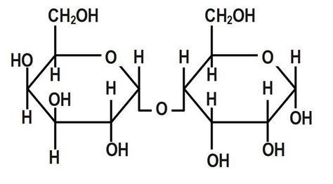 Which Of The Following Does Not Show Mutarotation A N N N N N B N N N N N C N