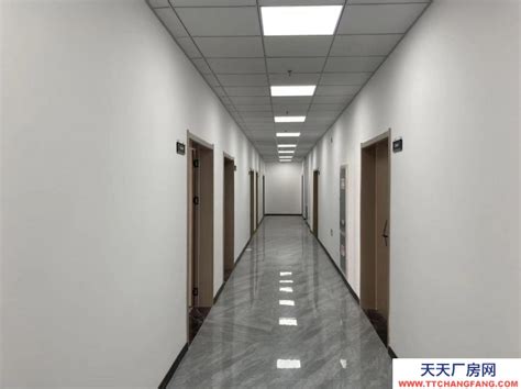 出租 高新区产业园 精装交付 户型方正 配套齐全厂房厂房成都厂房出租 工业园区厂房出售 食品加工厂房买卖找天天厂房网