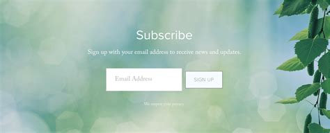 Squarespace 71 Newsletter Block Css — Original Box