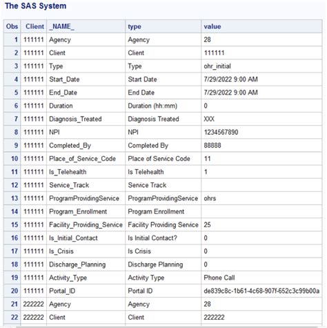 Json Export With Type And Value Requirements Sas Support Communities