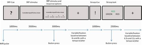 experimental task design and timing download scientific diagram