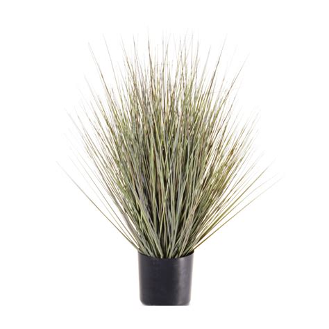 Siergras M Het Style Concept