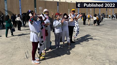 Heres What Happened On Tuesday At The Cop27 Climate Summit The New