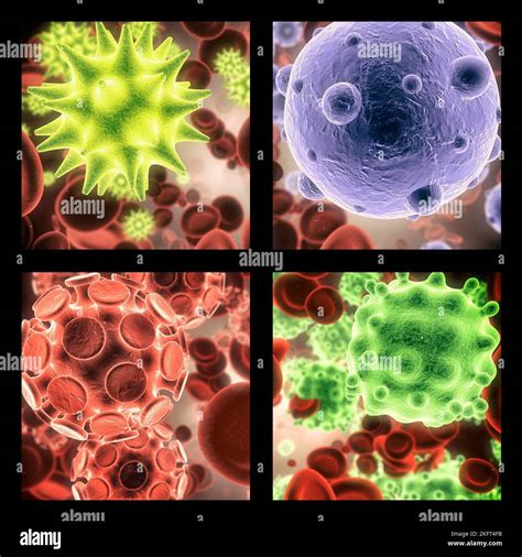 The Harbingers Of Disease A Combined Image Of Various Micro Organisms