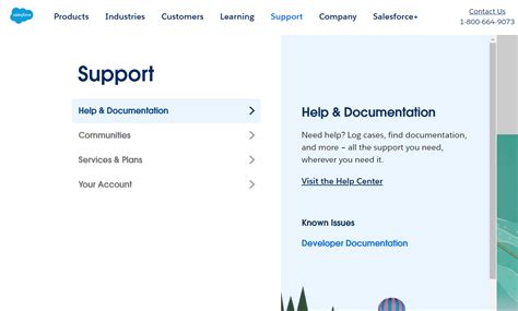 How To Keep An Overview Of The Salesforce Release Cycle Salesforce How To Keep An Overview Of The Salesforce Release Cycle Salesforce