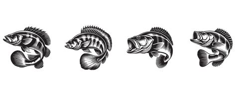 Elegant Peacock Bass Fish Clipart Illustration Design Artwork 54788022