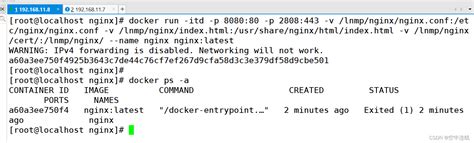 Docker 中的 Nginx 服务为什么要启用