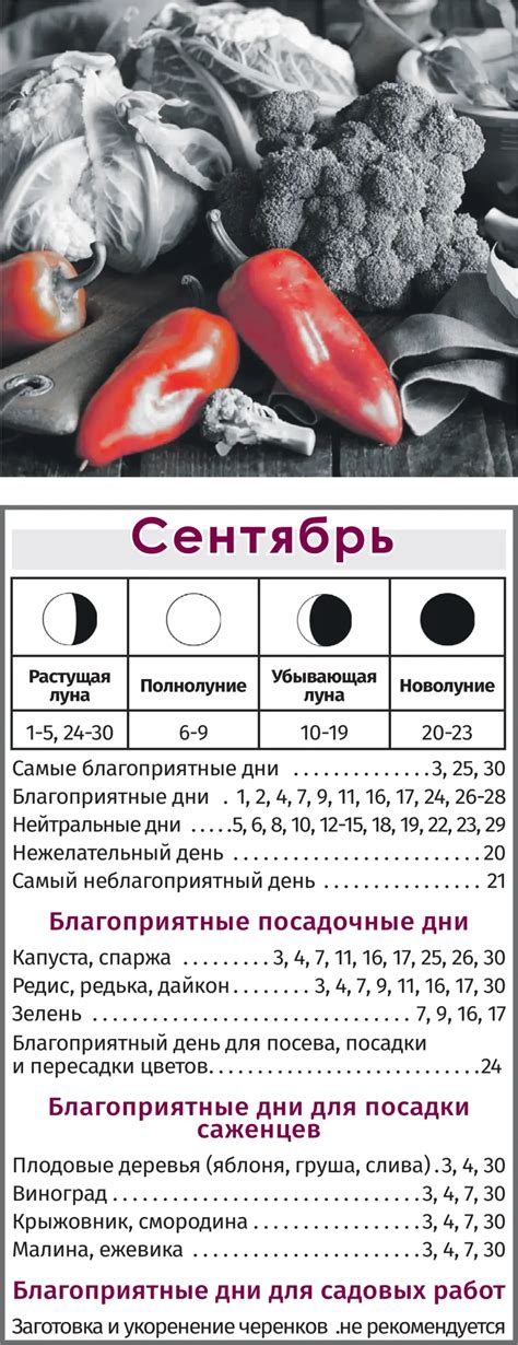 ЛУННЫЙ КАЛЕНДАРЬ садовода огородника на 2025 год Вечерний Брест