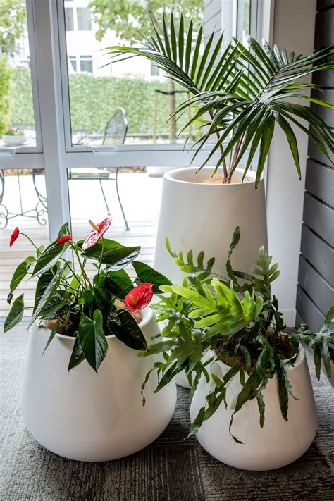 Everil Orr — Grasshopper Gardens