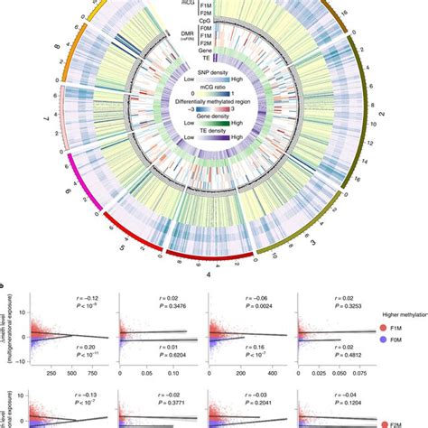 Multigenerational Reproductive Resilience Of The F0 F1 And F2