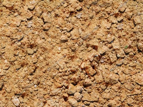 Ground Texture Outdoors In The Garden正版照片113430