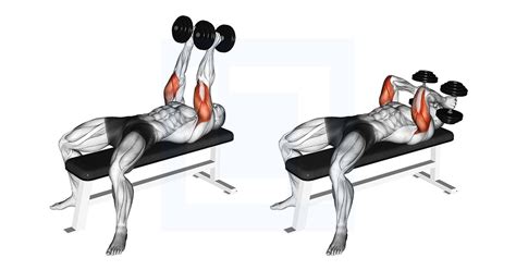 Dumbbell Biceps Curl Squat Guide Benefits And Form