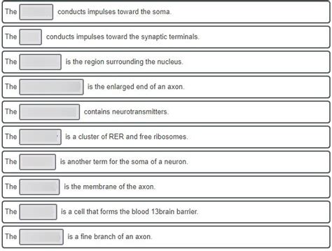 Neural Tissue Diagram Quizlet