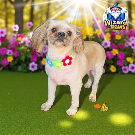 The Wizard Beautiful Meeka 🌸🩷 Such A Lovely Start To The Day With A