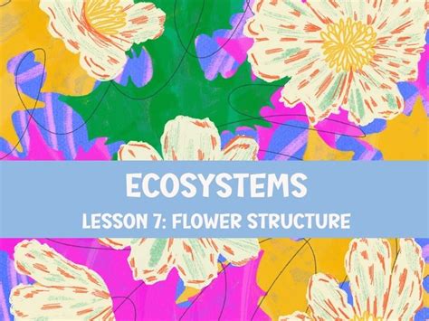 Flower Structure Lesson And Practical Teaching Resources