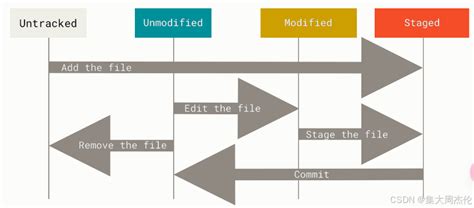 Linux Git新手入门 Git常用命令 Git全面指南：基础概念、操作与远程仓库、标签、分支全解析 Mit第六课linux Git Status Modilie 入库 Csdn博客
