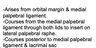 Face Scalp Flashcards Quizlet