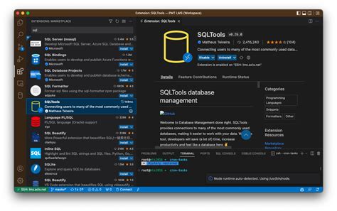 Unnecessary Notifications On Every Vs Code Boot · Issue 1106 · Mtxrvscode Sqltools · Github
