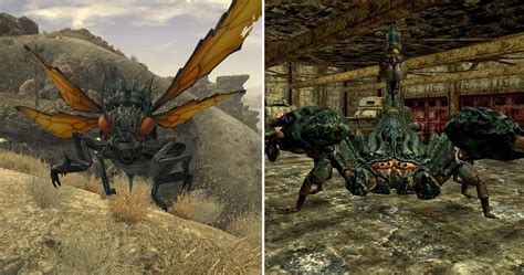 Fallout New Vegas Legendary Cazador
