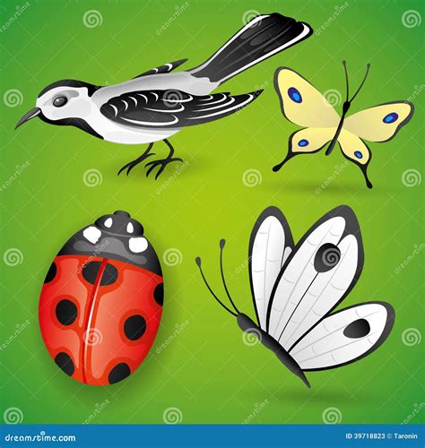 Bird And Insects Stock Vector Illustration Of Character 39718823
