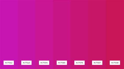 What Color Is Red Violet Meaning Code And Combinations What Color Is Red Violet Meaning Code And Combinations