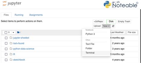 Alternative Python Setup — Python And 🐢 Turtles 🐢