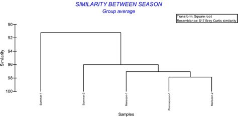 similarity dendrogram cluster analysis in different seasons