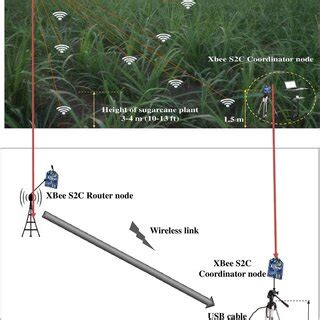 Comparative Analysis Of Error And MAE With Different Optimization
