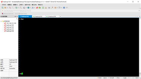 Hdfs入门（二）—— Hdfs的shell操作（包含漫威彩蛋） Chmod R Path Csdn博客