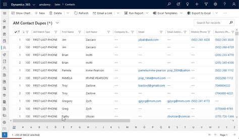 Validate And Merge The Duplicates In Your Crm With Automerge