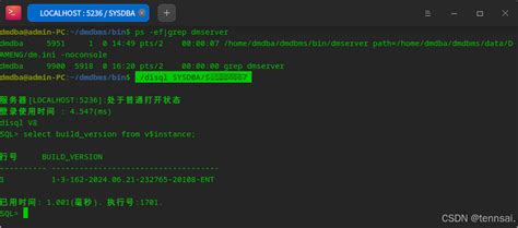 Linux启动达梦数据库linux重启达梦数据库 Csdn博客