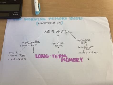 Working Memory Model Flashcards Quizlet