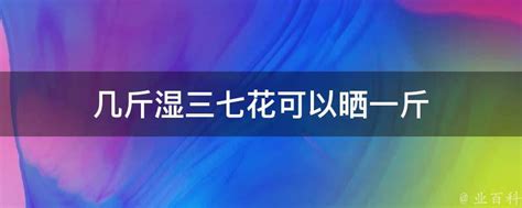 几斤湿三七花可以晒一斤 业百科