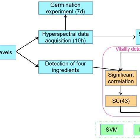 Flow Chart For Detecting And Predicting The Viability Of Waxy Corn