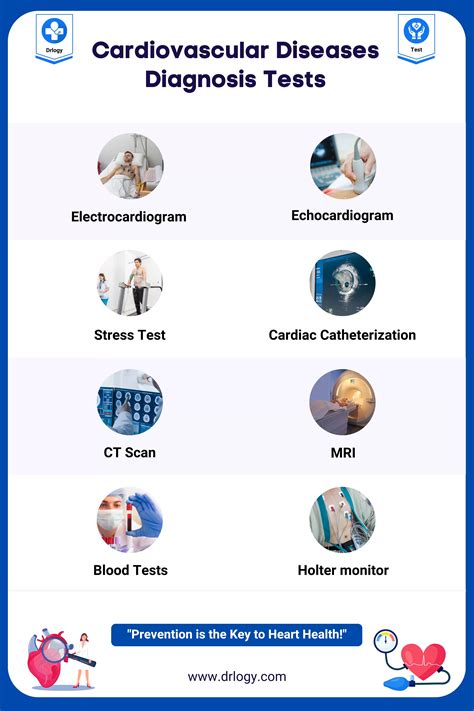8 Best Cardiovascular Diseases Diagnosis Test For Heart Health Drlogy