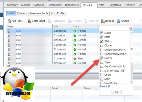 Как узнать время работы сервера Esxi за минуту Настройка серверов Windows и Linux