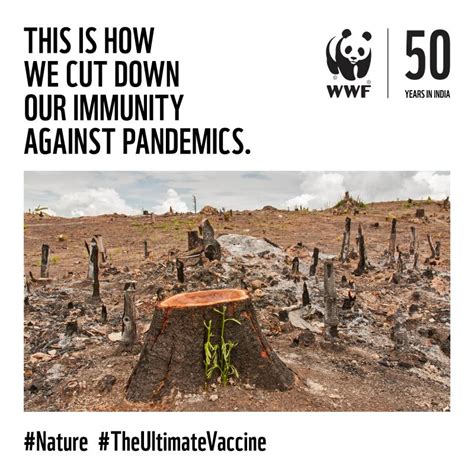 Febith Rizvan Posted On Linkedin