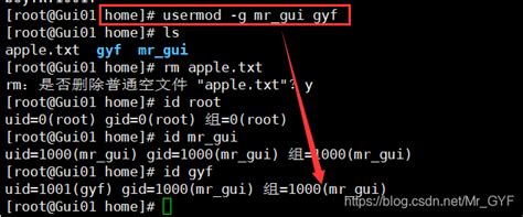 linux笔记（三）——用户登录与注销，用户管理（添加，删除，查询用户信息指令，切换用户），组的介绍（所有者，所在组和其他组） 总结用户管理