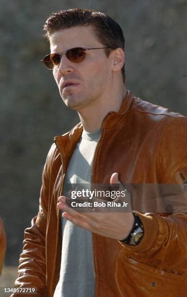 5 855 David Boreanaz Photos And High Res Pictures Getty Images