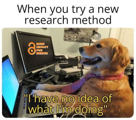 40 Hilarious Research Memes That Will Make You Smile Formsapp