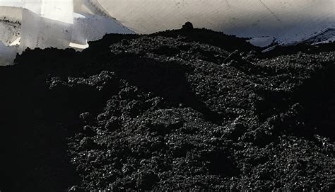 Researching Biochar As A Soil Additive To Increase Profits Yields