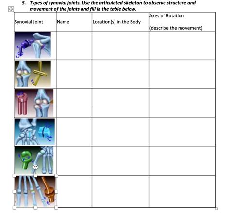 5 Types Of Synovial Joints Use The Articulated Skeleton To Observe Structure And Movement Of