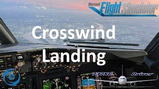 PMDG 737 700 For MSFS Tutorial Crosswind Landing R Doovi